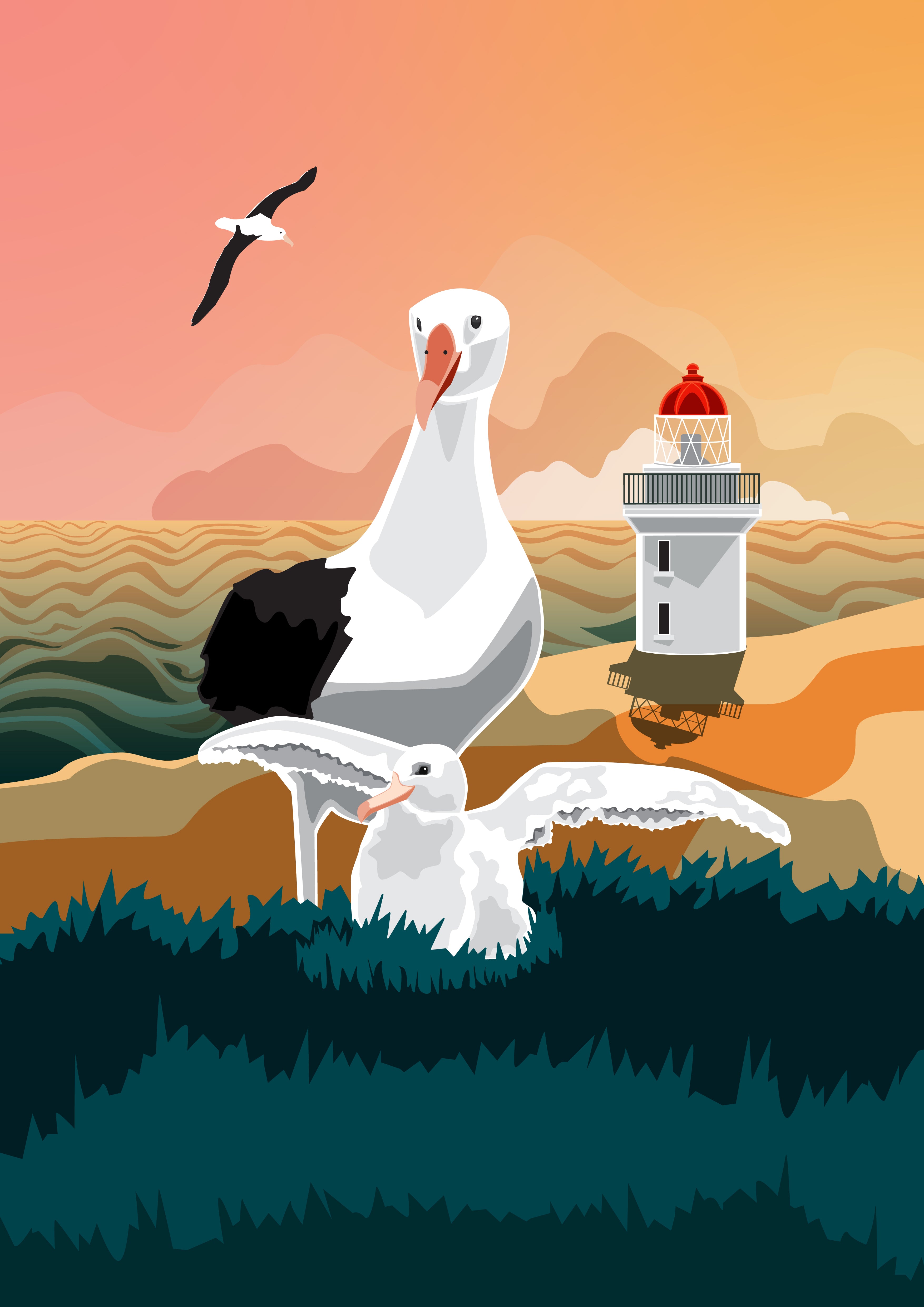Art / Prints – The Royal Albatross Centre