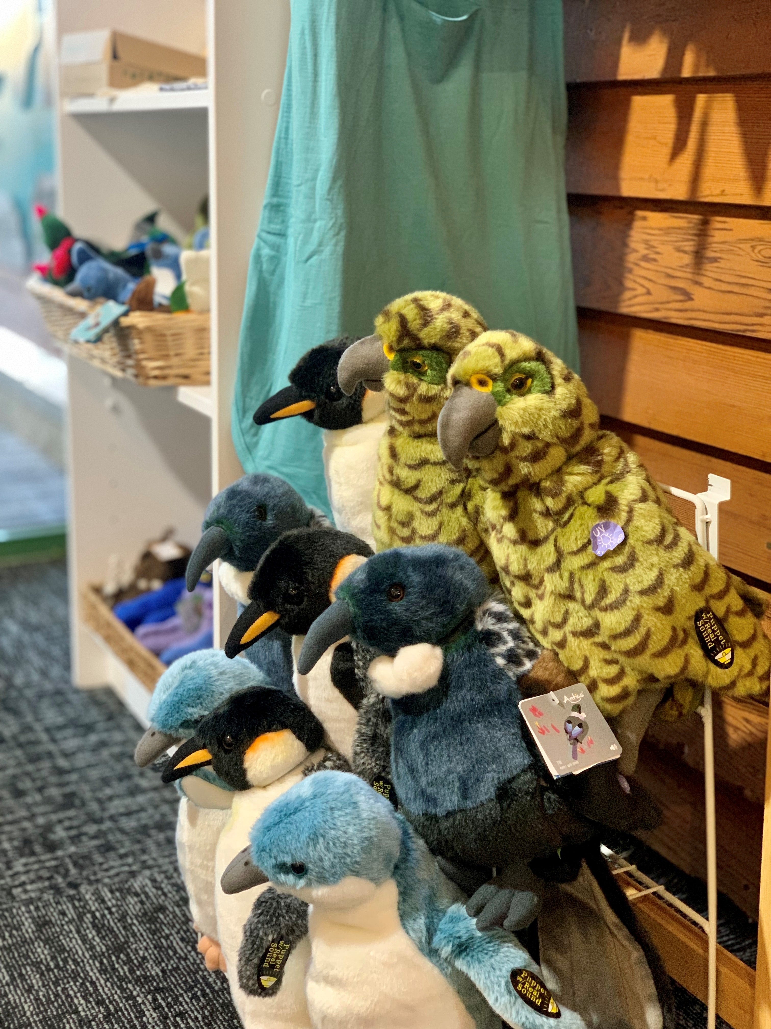 Children's Books, Toys, Homewares – The Royal Albatross Centre