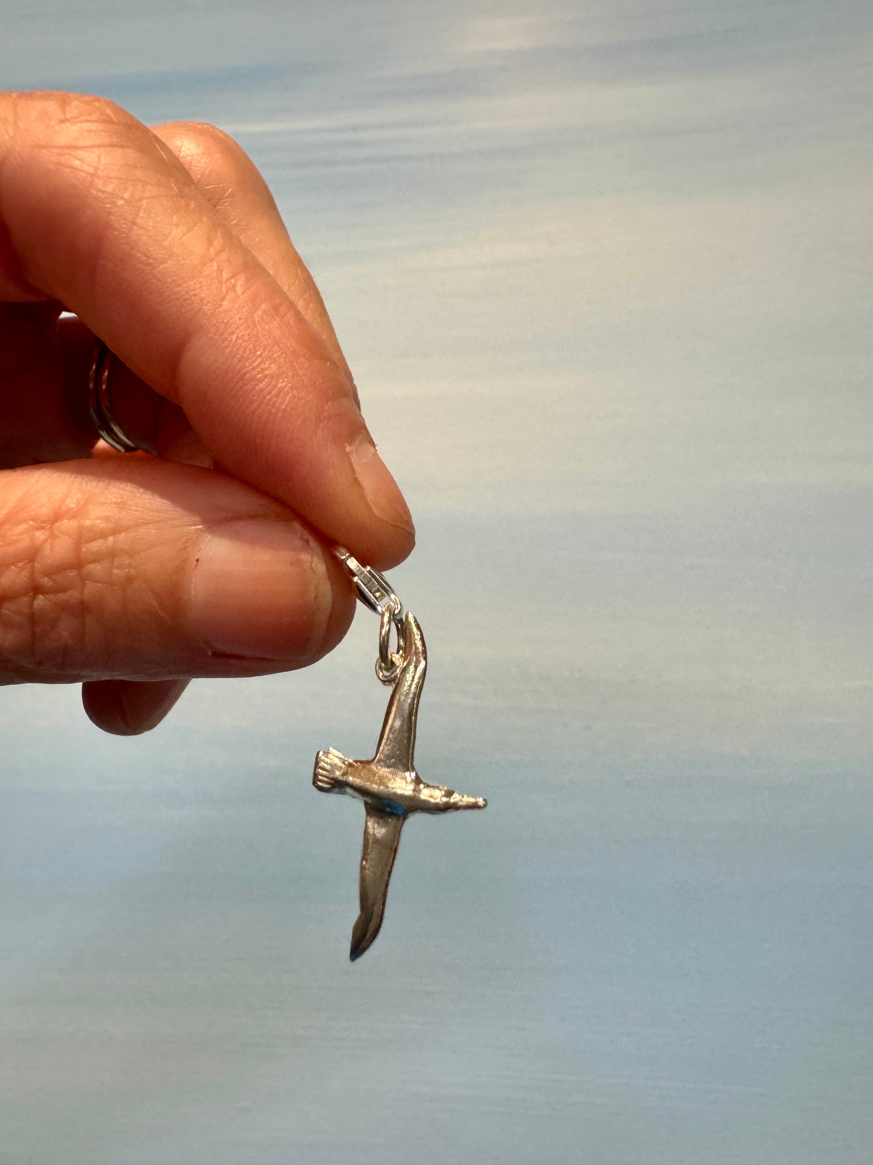 Albatross Charm (ring) – The Royal Albatross Centre