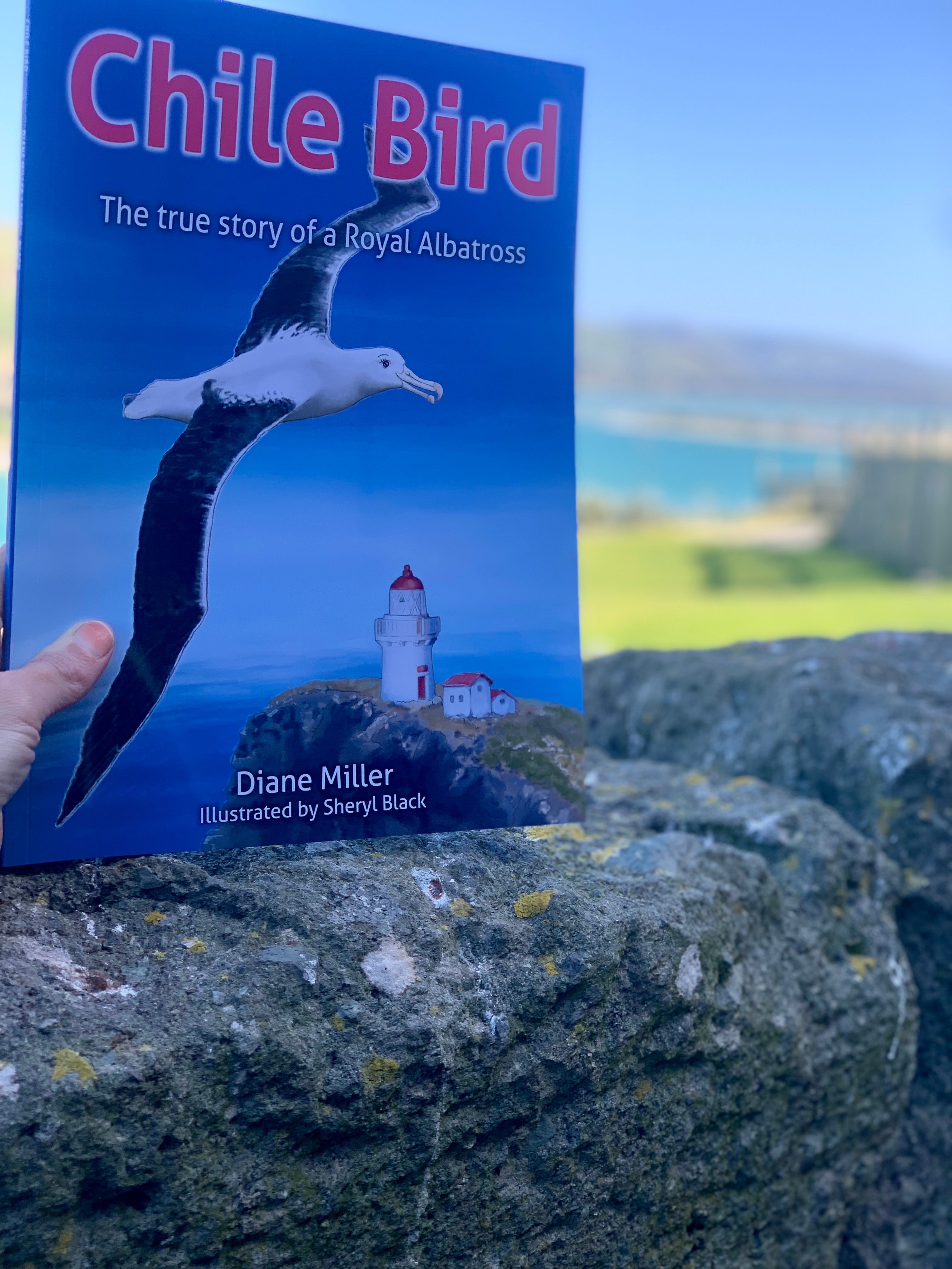 Chile Bird – The Royal Albatross Centre