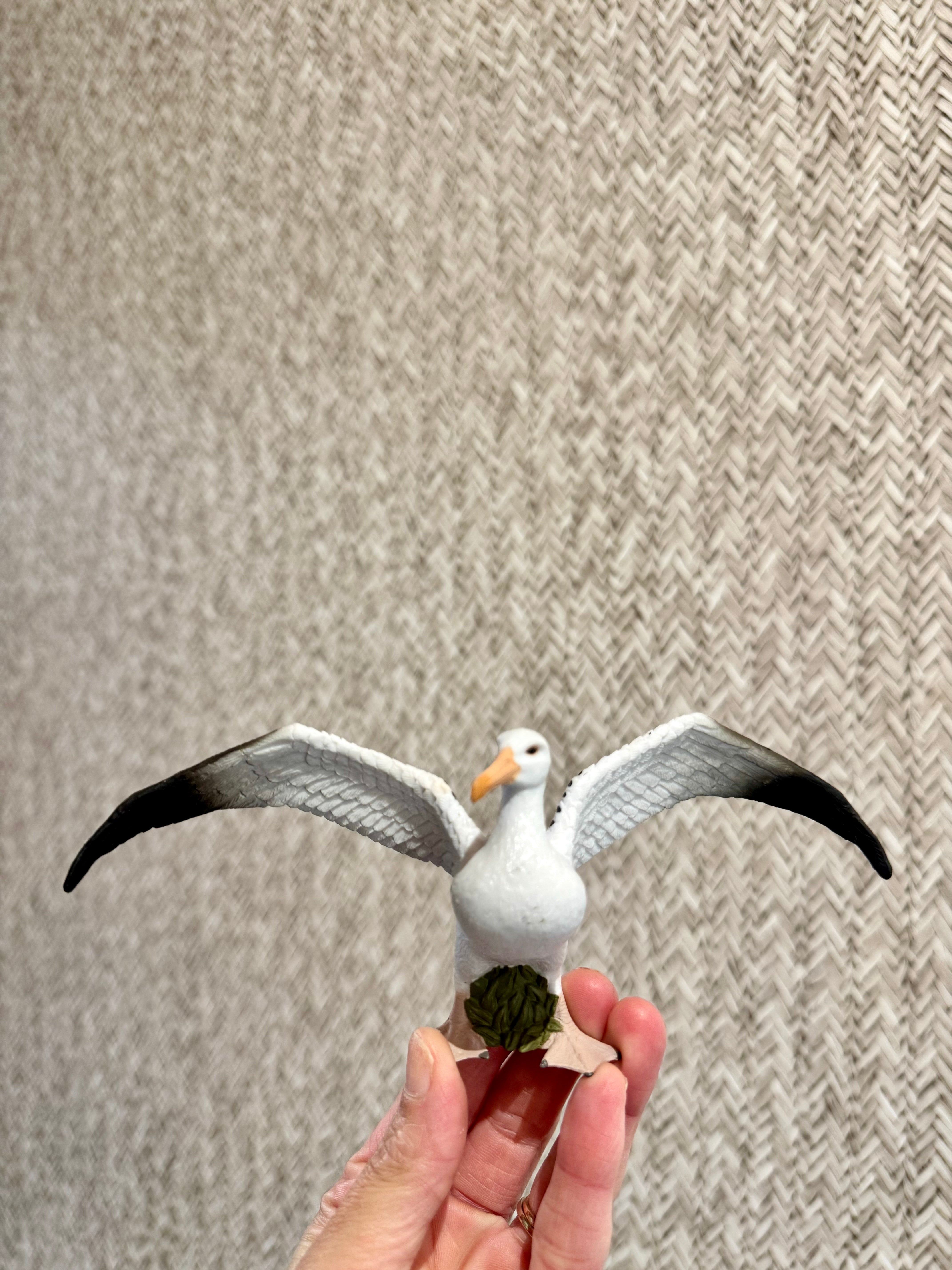 Wandering Albatross Figurine – The Royal Albatross Centre