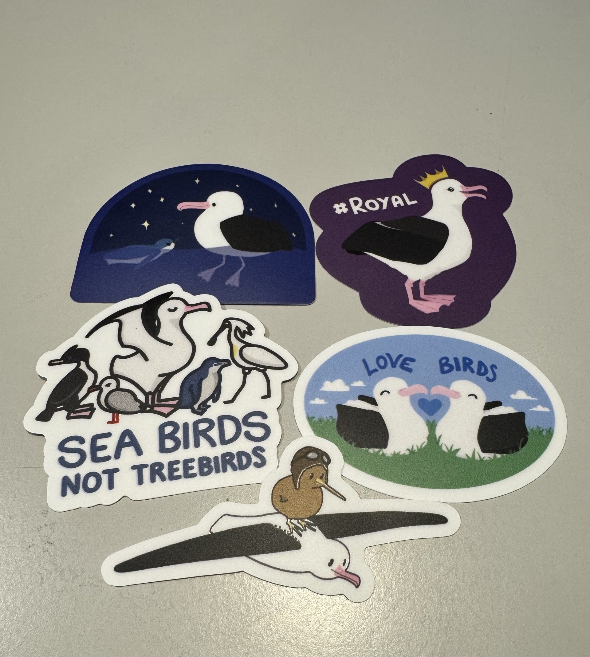 Albatross Stickers - 5 Pack – The Royal Albatross Centre