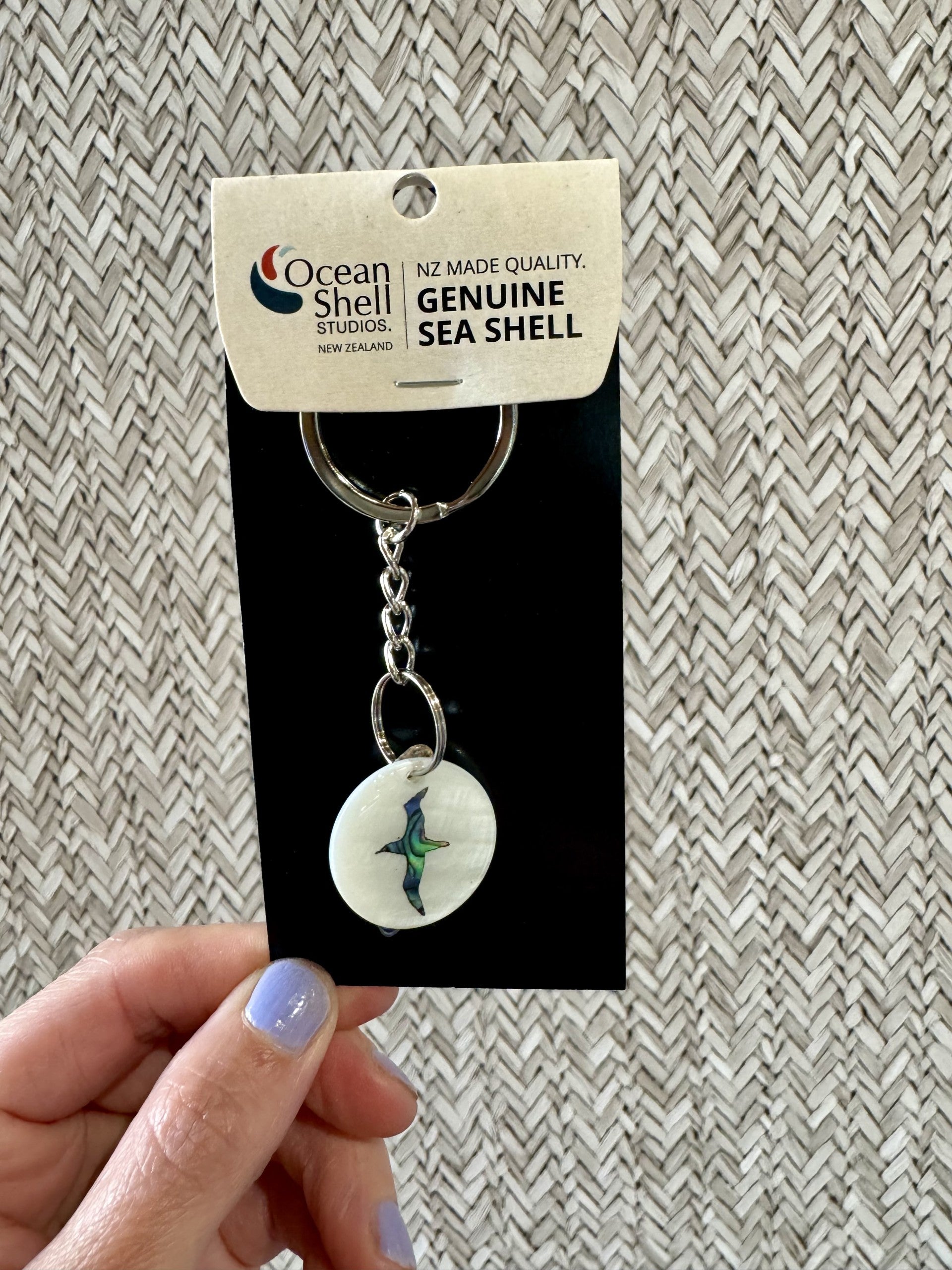 Albatross Paua Keyring – The Royal Albatross Centre