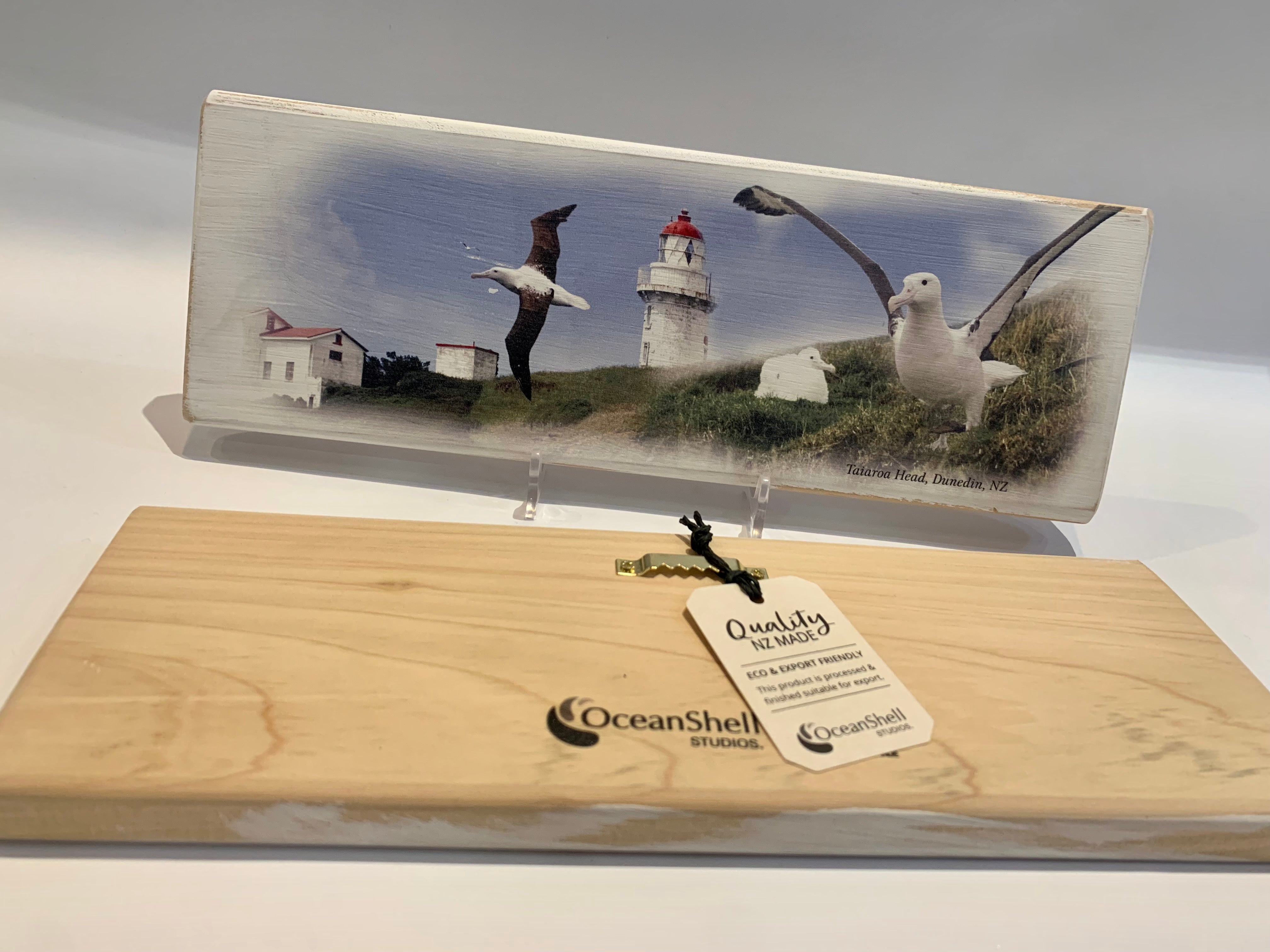 Albatross Colours of NZ Wood – The Royal Albatross Centre