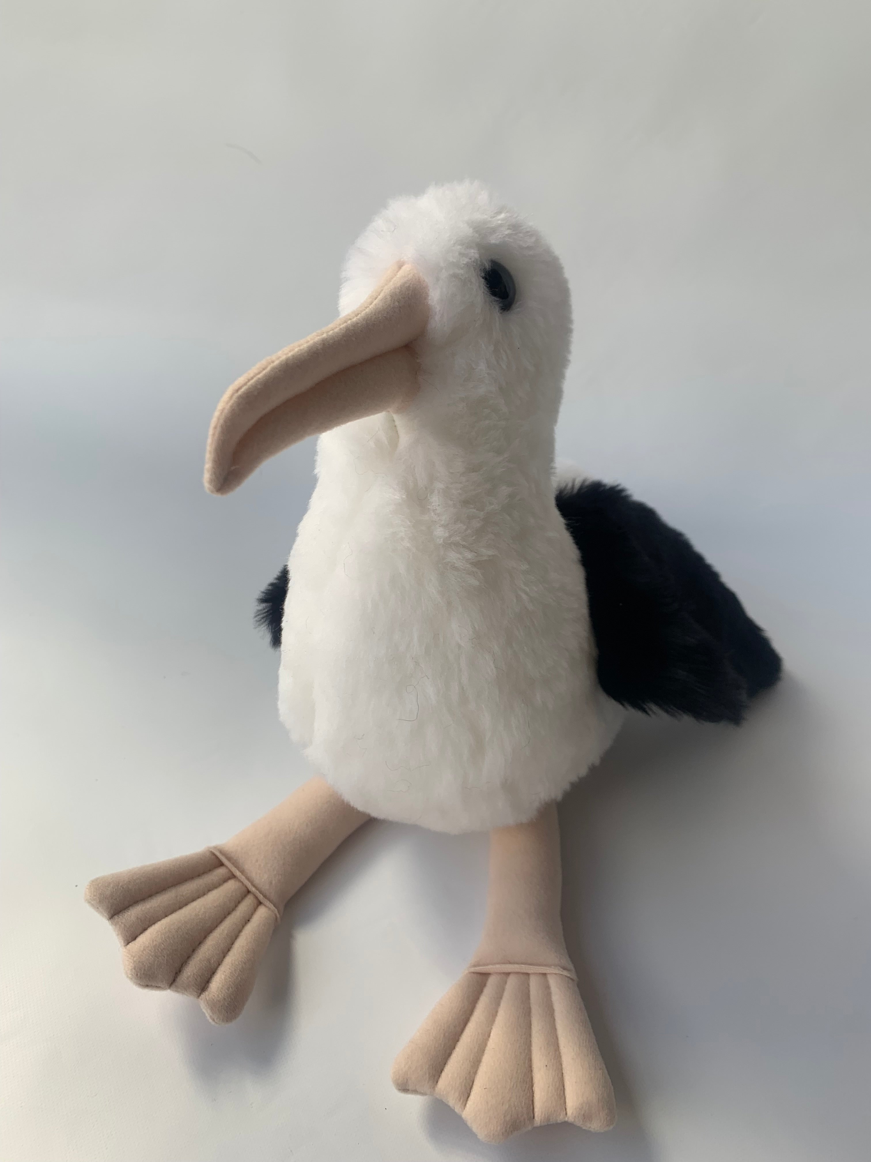 Native Z Albatross Adult Large – The Royal Albatross Centre